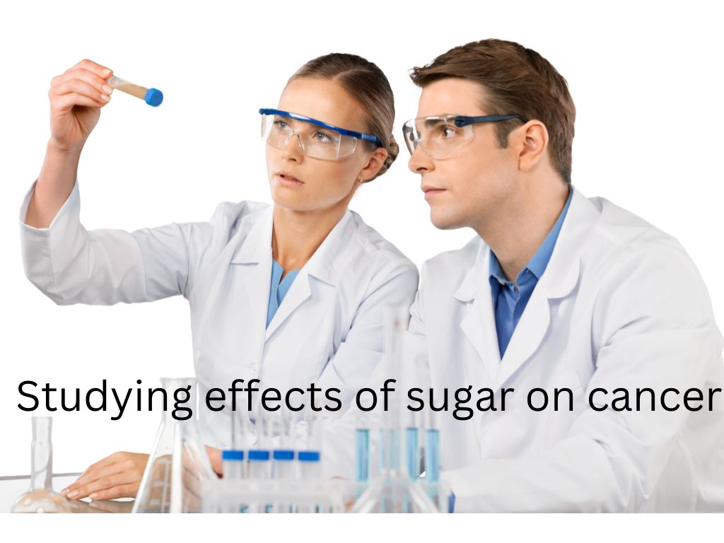 The Impact Of Sugar On Your Health For Seniors